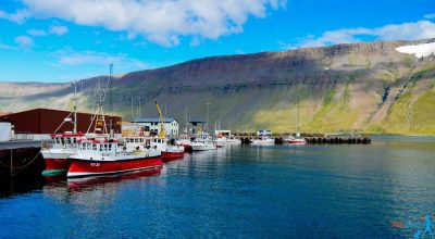 Iceland Road Trip (Part 3) – the West Fjords!