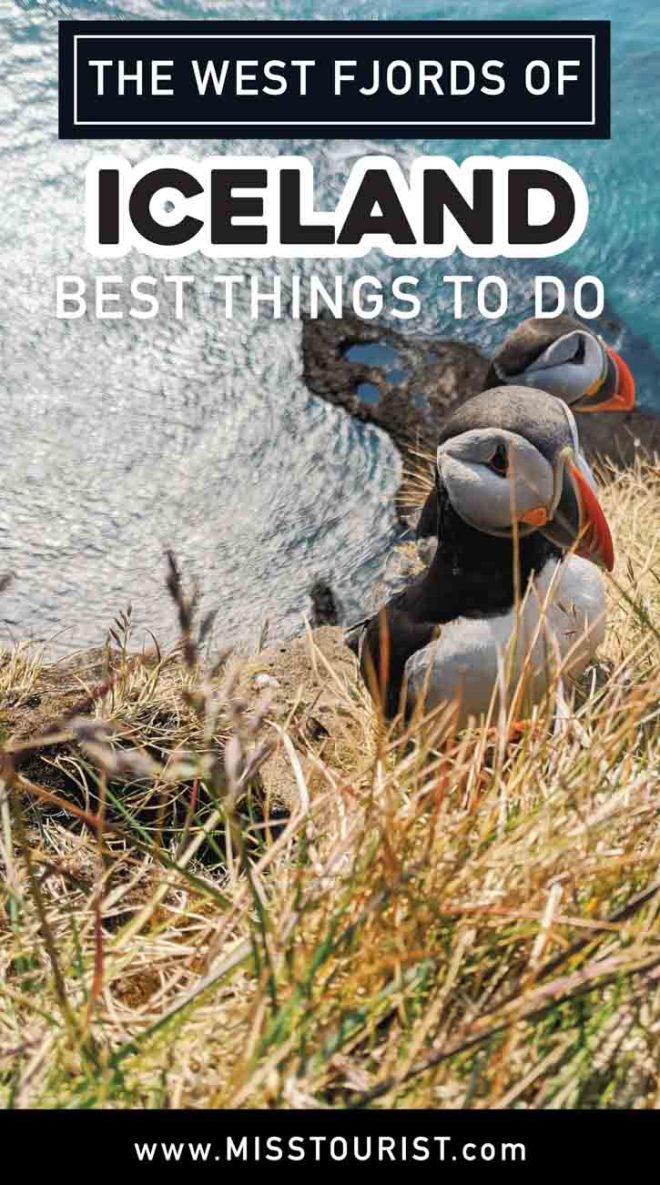 Iceland Road Trip (Part 3) – the West Fjords!