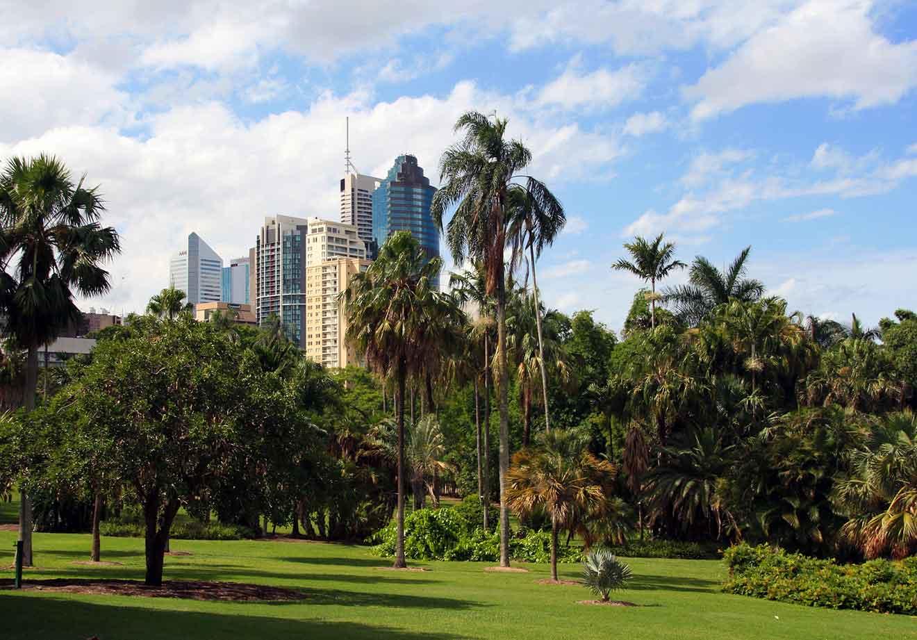 11 Unmissable Things to Do in Brisbane, Australia → Your Ultimate Guide