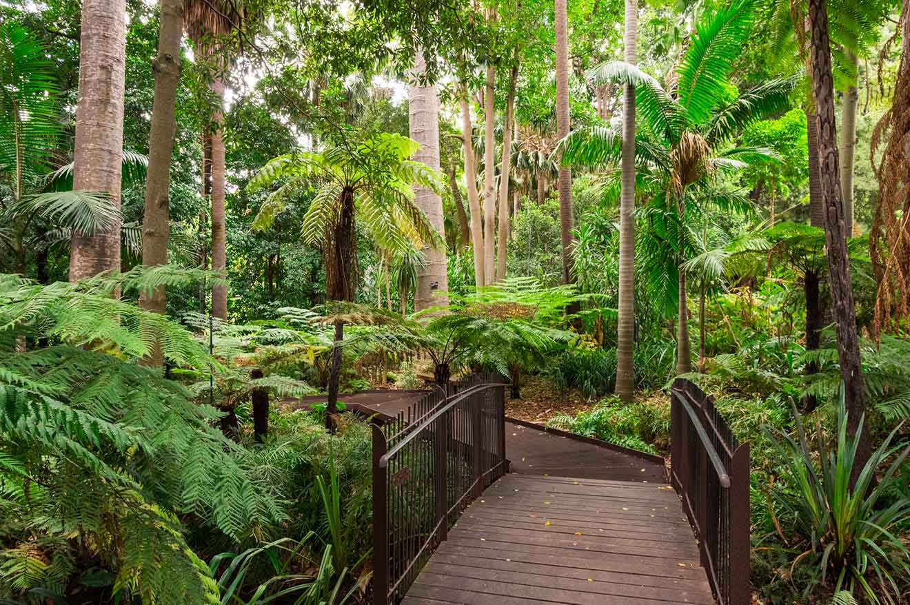 12 Unmissable Things to Do in Melbourne → Your Ultimate Guide