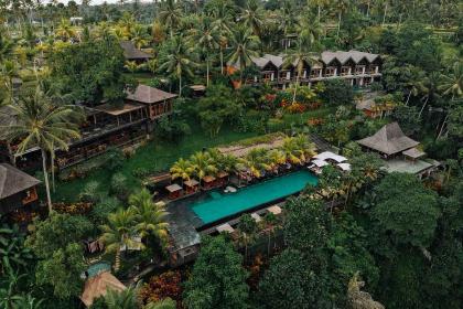 Where to Stay in Ubud 2025 ️ 20 EPIC Villas (by a Local!)