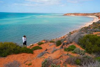 FULL GUIDE - 9 Things To Do In Shark Bay, Western Australia (with Prices!)