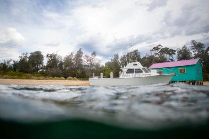 9 Best Things to Do in Merimbula ️ (+2 Day Trips!)