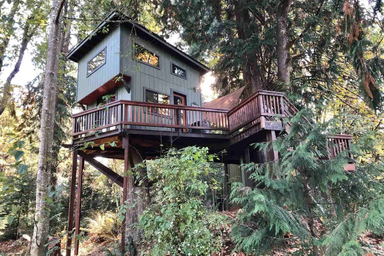 15 MESMERISING Treehouses in Washington - Ranked With Prices!