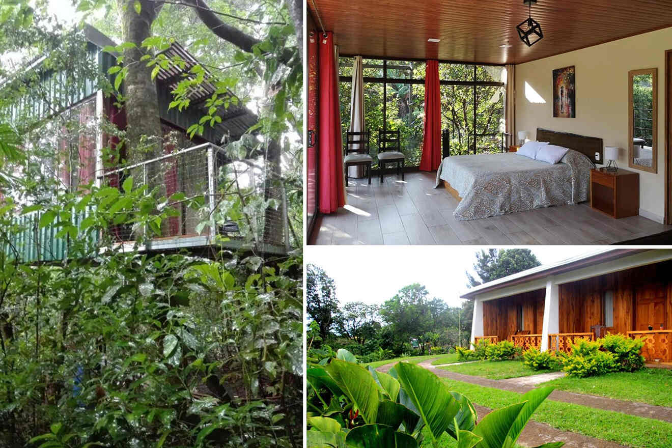 Best Hotels in Monteverde, Costa Rica ️ 24 Amazing Options