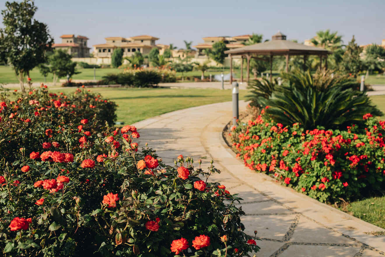 4 Areas Where to Stay in Cairo + Hotels Near the Pyramids!