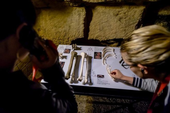 Booking Catacombs Tickets in Paris ️11 Things You Should Know