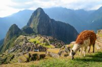 The 10 Best Machu Picchu Tours (from Day Tours to DIY)
