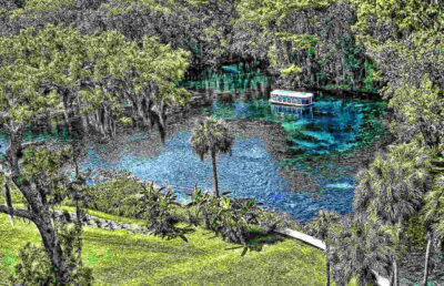 15 Best Natural Springs in Orlando & Central Florida + Tips!