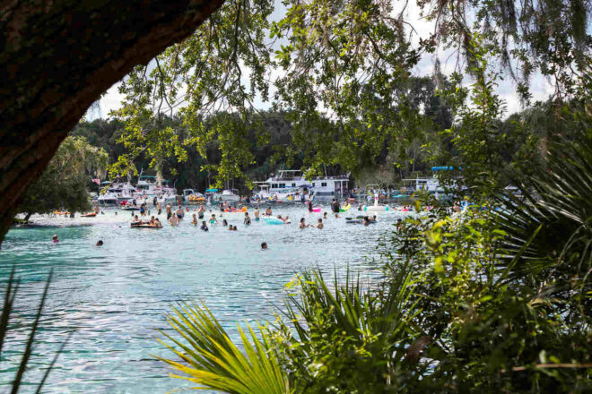 15 Best Natural Springs in Orlando & Central Florida + Tips!