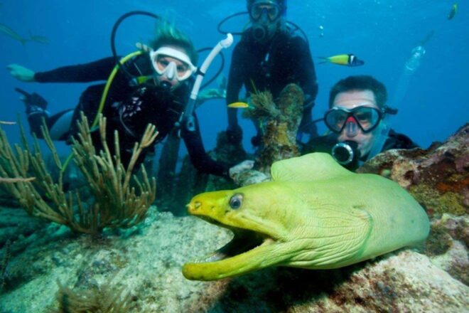 10 Best Islands of the Florida Keys ️ including a Map!