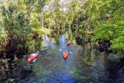 8 BEST Natural Springs in Ocala → Tips from a Local!