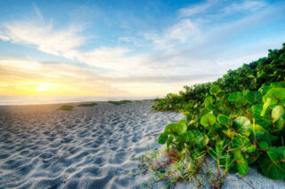 16 Amazing Beaches Near Orlando → including a Map