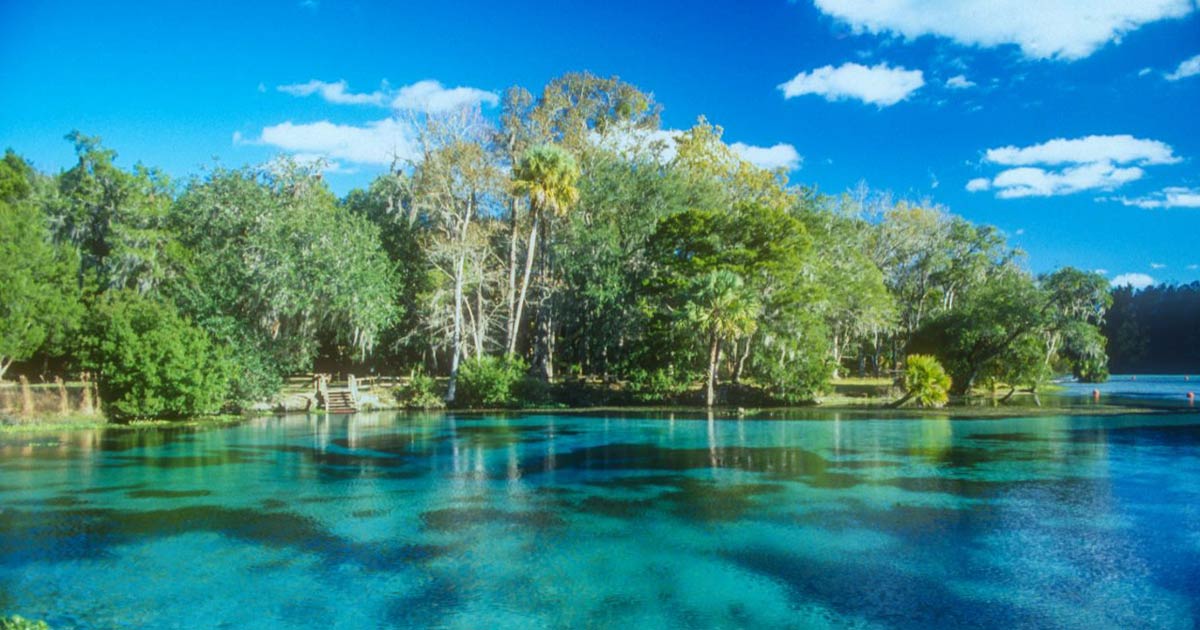 8 BEST Natural Springs in Ocala → Tips from a Local!