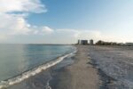 Guide to Sand Key Park & Beach ️ What to Know Before You Go