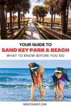 Guide to Sand Key Park & Beach ️ What to Know Before You Go