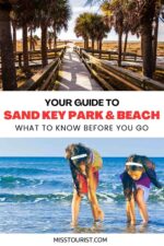 Guide to Sand Key Park & Beach ️ What to Know Before You Go