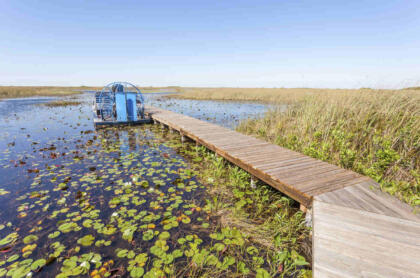 11 Best Everglades Airboat Tours → From Miami to Orlando