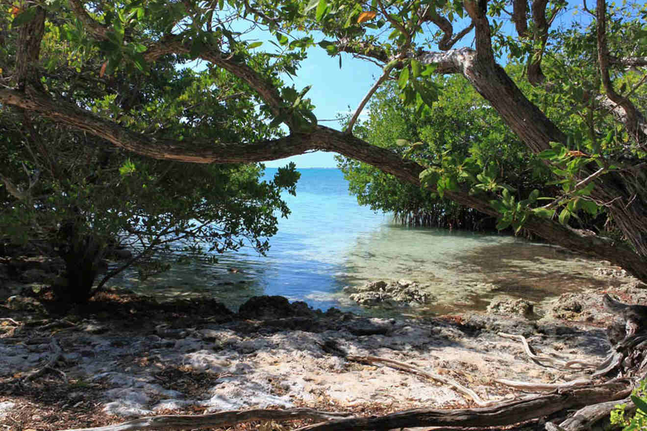 11 Postcard-Worthy State Parks in Florida Keys to Explore