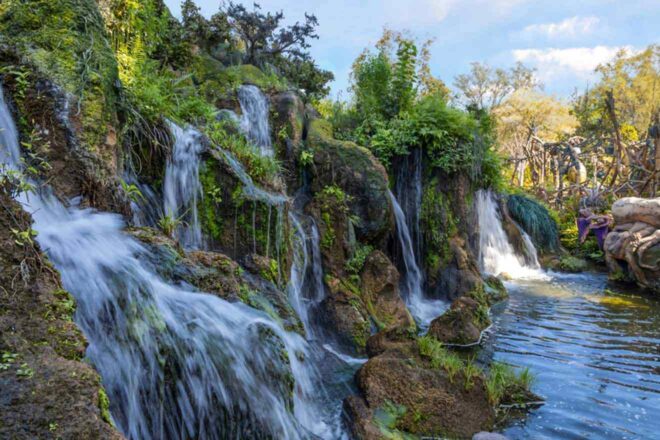 8 STUNNING Waterfalls in Florida ️ by a Local (+Map)