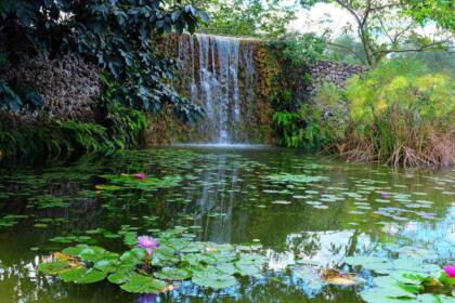 8 STUNNING Waterfalls in Florida ️ by a Local (+Map)