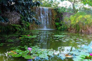 8 STUNNING Waterfalls in Florida ️ by a Local (+Map)