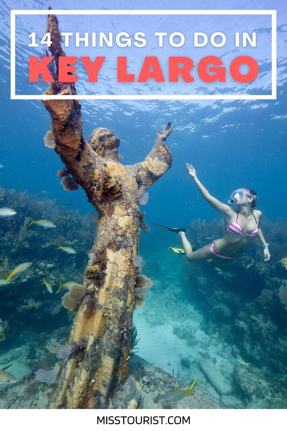 14 Amazing Things to Do in Key Largo ️ Local's Secrets