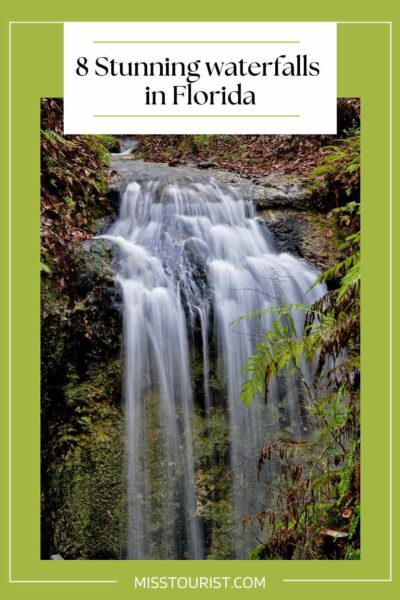 8 STUNNING Waterfalls in Florida ️ by a Local (+Map)