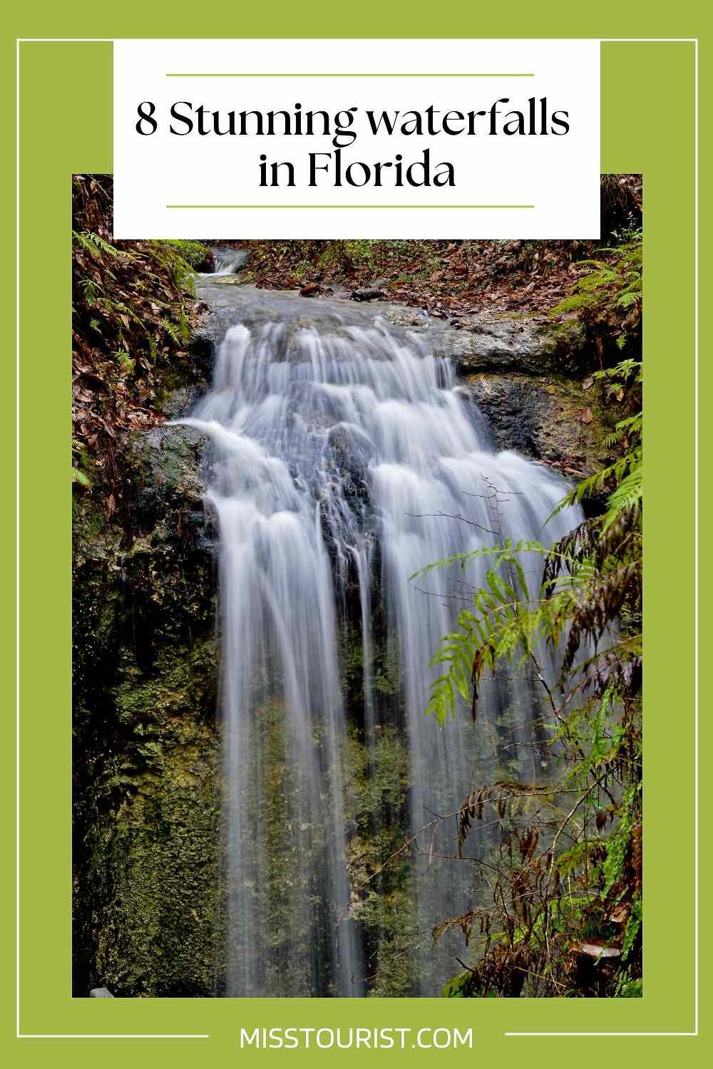 8 STUNNING Waterfalls in Florida ️ by a Local (+Map)