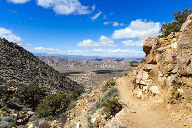 12 Best Hikes in Joshua Tree ️ For Beginner to Pro Hikers