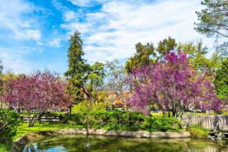 37 Things to Do in Sacramento ️ Your Local Guide!