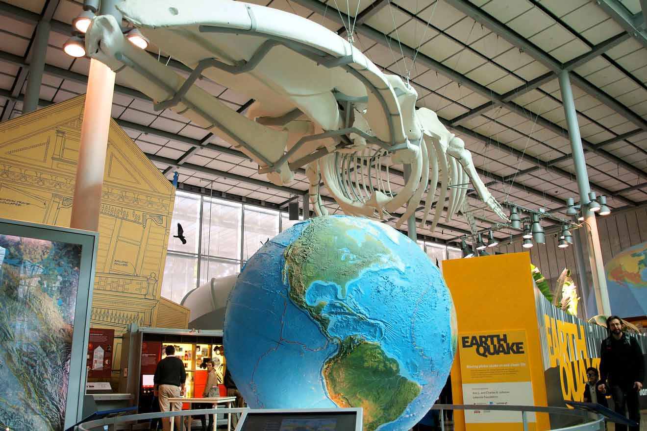 San Francisco Planetarium Tickets → the SMART Way to Buy