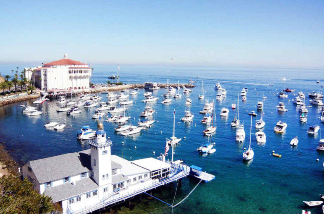 15 TOP Things to Do in Santa Catalina Island (by a Local)