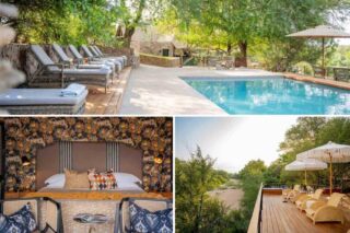 14 EPIC South Africa Safari Lodges: Your 2026 Update!