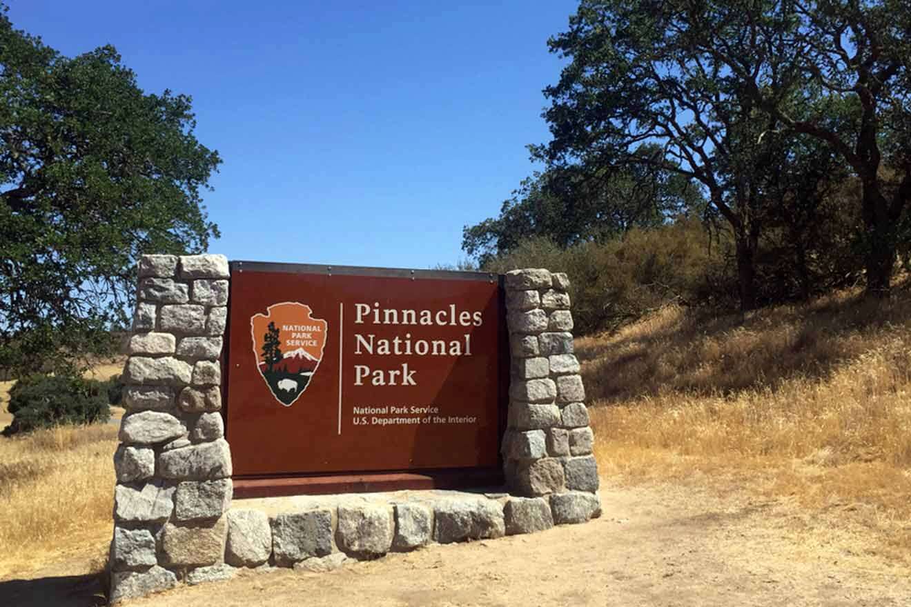 Pinnacles National Park Guide (2024) → From a Local Expert!